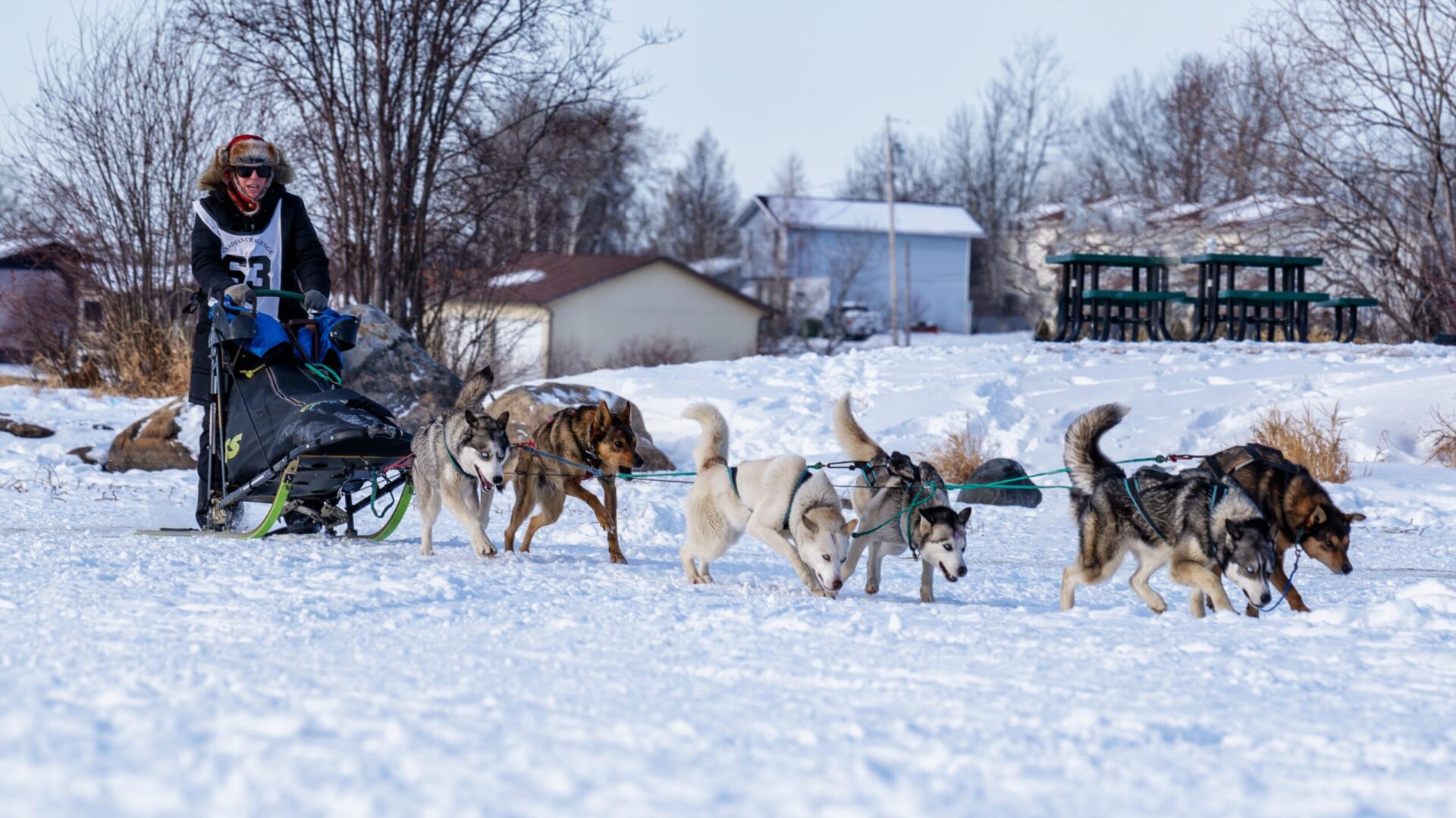 CANADIAN CHALLENGE – Canada's Premier Sled Dog Race and Iditarod Qualifier